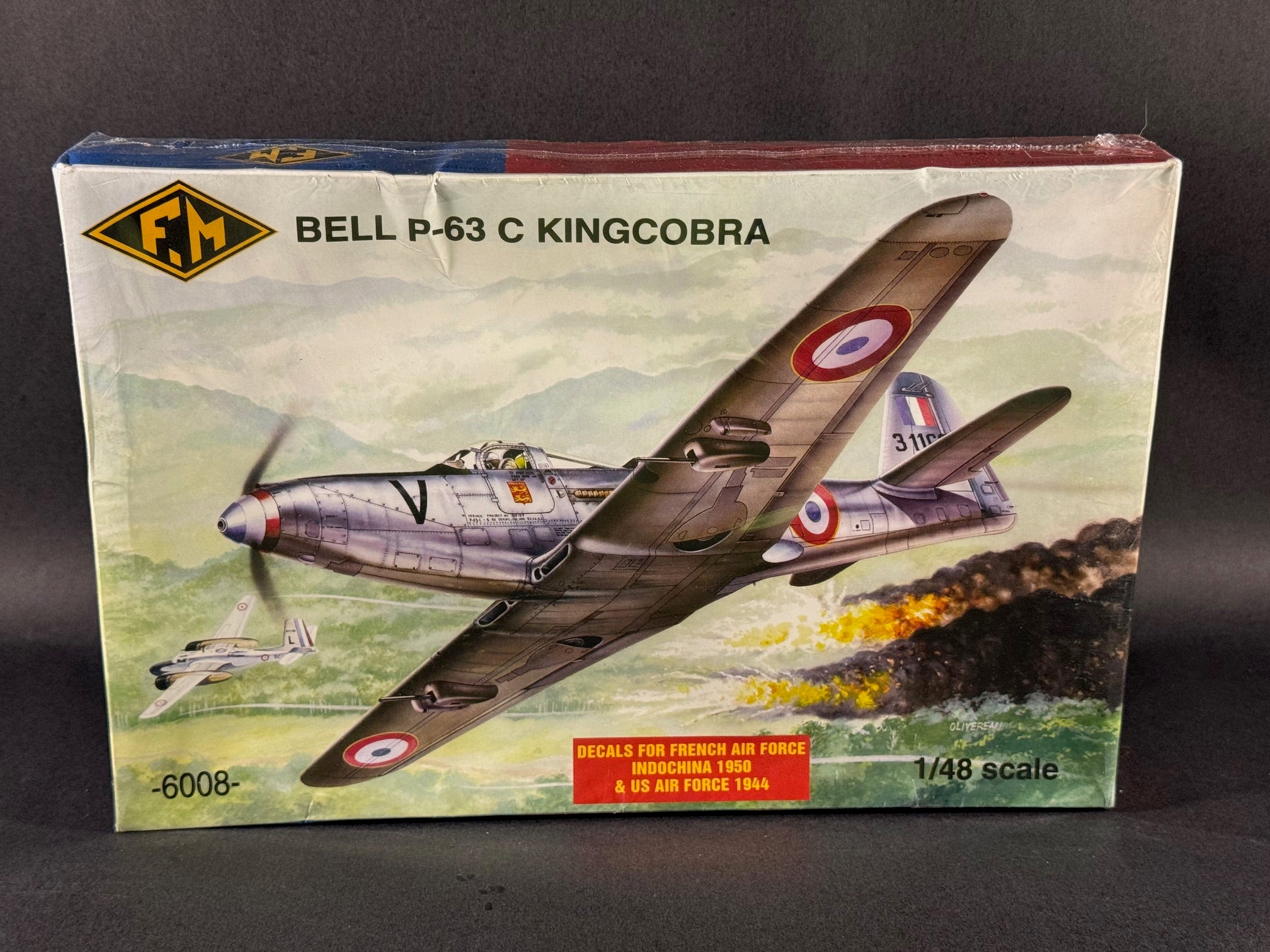 Fonderie Miniatures Model Kit 6008 1:48 Scale Bell P-63 C KingCobra ...