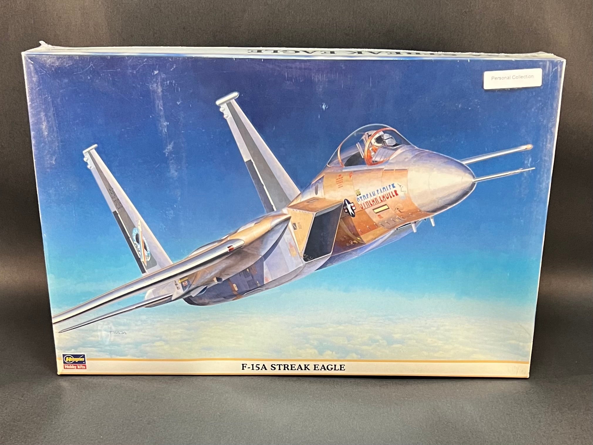 Hasegawa Model Kit 09420 1:48 Scale F-15A Streak Eagle – Plutonium Garage